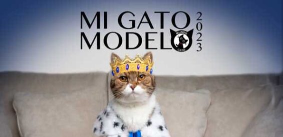 Mundo Gato - Mundo Gato