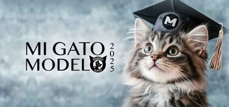 Mundo Gato - Mundo Gato